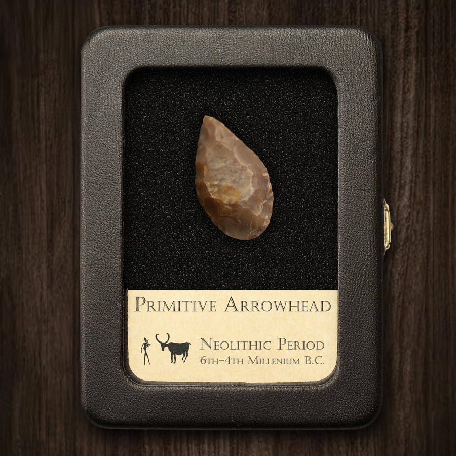 New Arrivals – Ancient Artifacts Shop